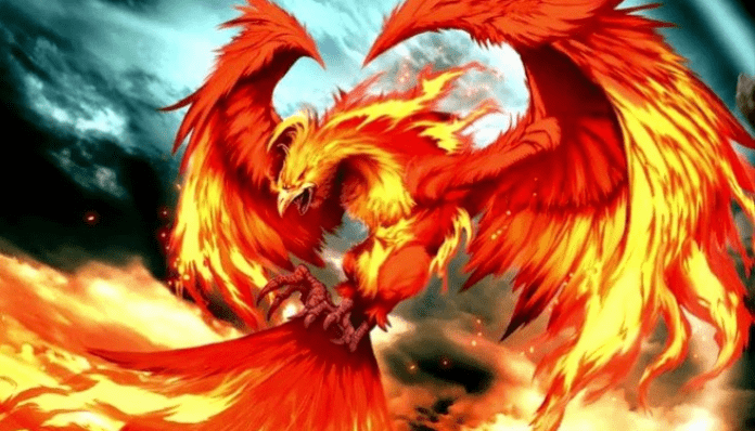 Fénix Criatura De La Vida Y Muerte – Creación Y Destrucción