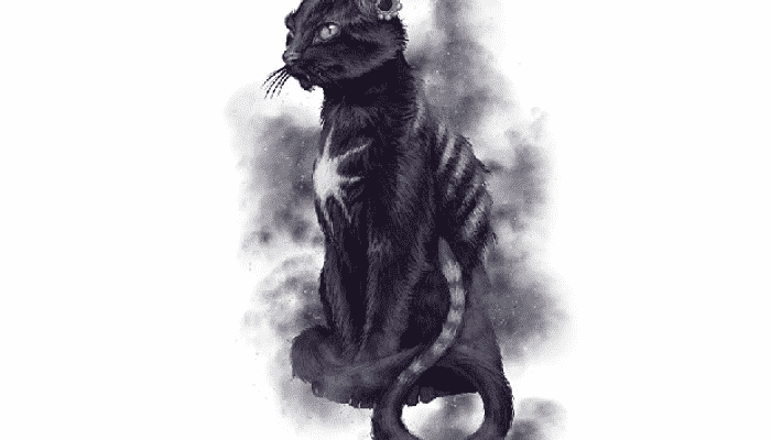 Mitología Celta: Origen, Etapas, Dioses, Animales, Símbolos, Mitos Y Más